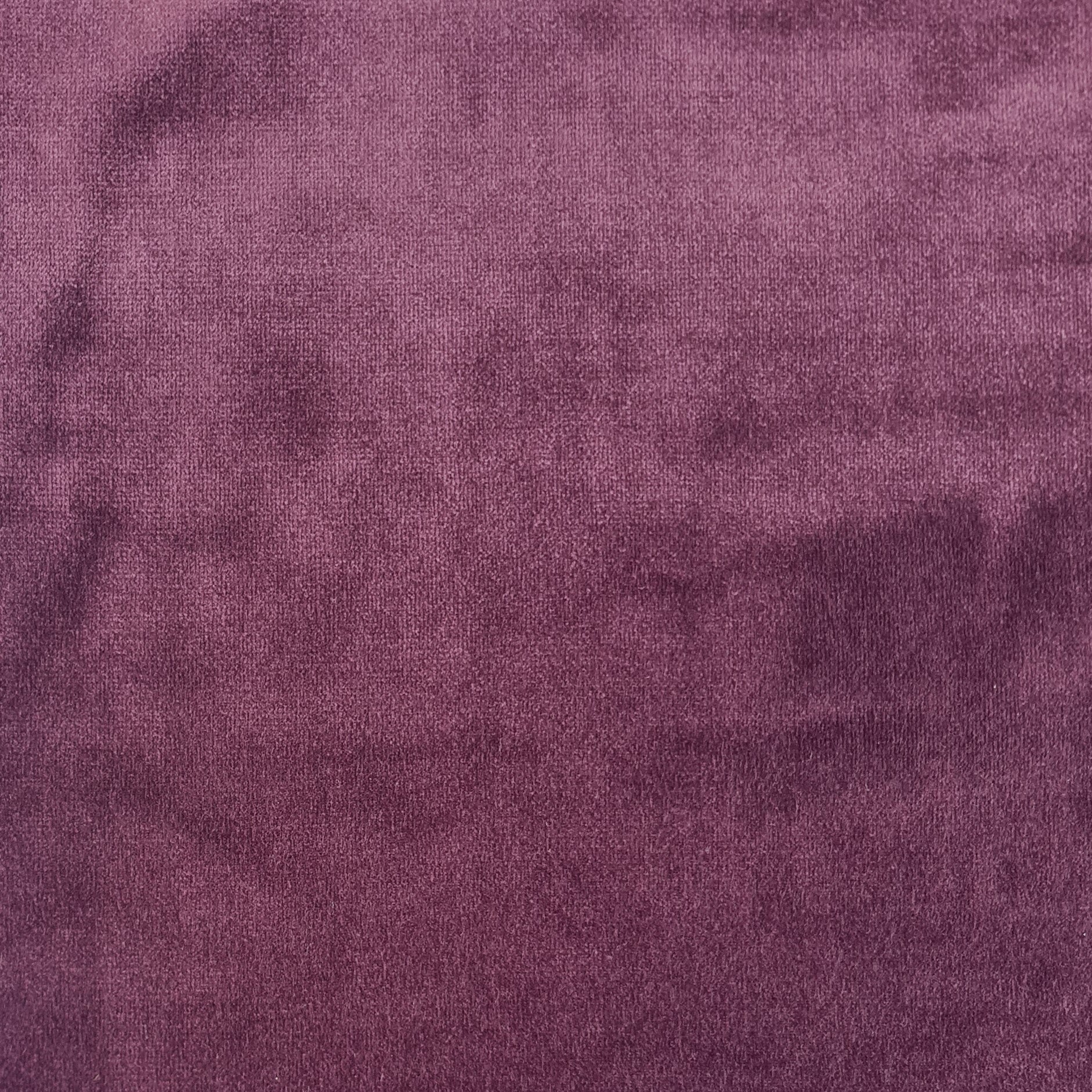 Plain Velvet - Haines Collection, Fabrics – Haines Collection Limited